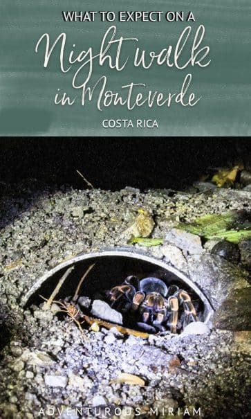 What to expect from a Monteverde night tour (Finca Santa Maria ...