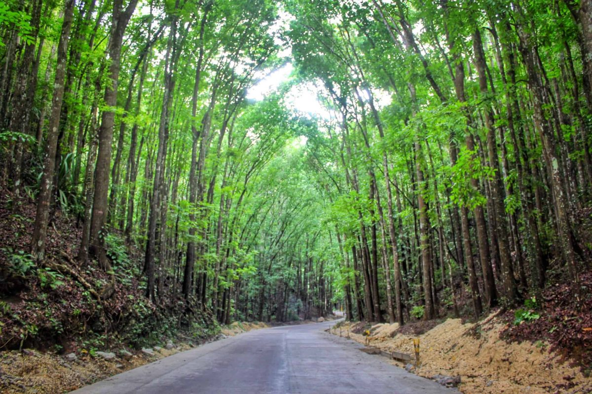 10 Amazing Things To Do In Bohol, The Philippines - Adventurous Miriam
