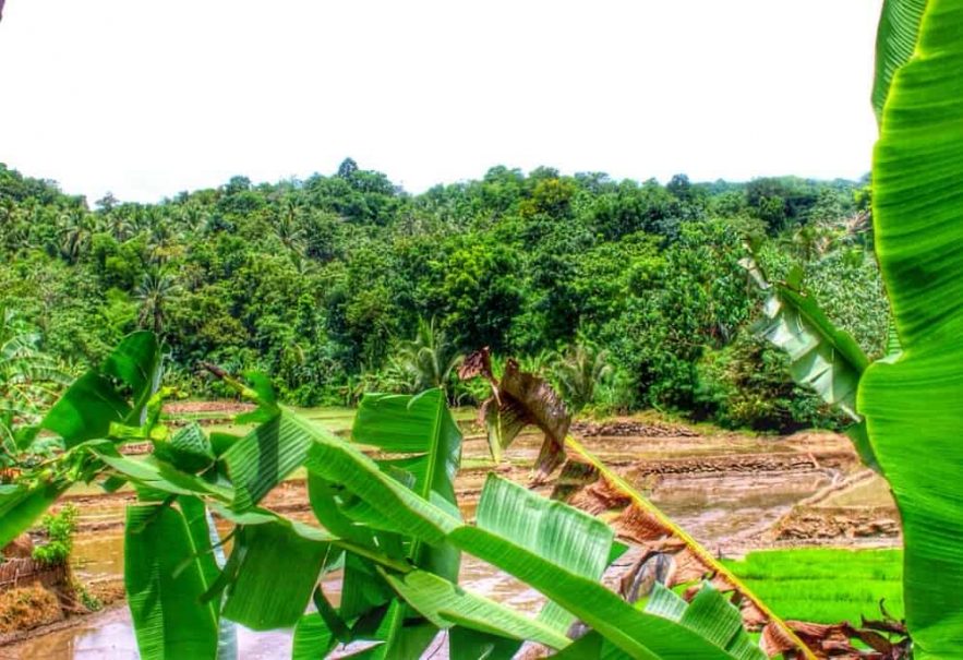 10 Amazing Things To Do In Bohol, The Philippines - Adventurous Miriam