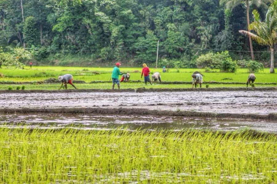 10 Amazing Things To Do In Bohol, The Philippines - Adventurous Miriam