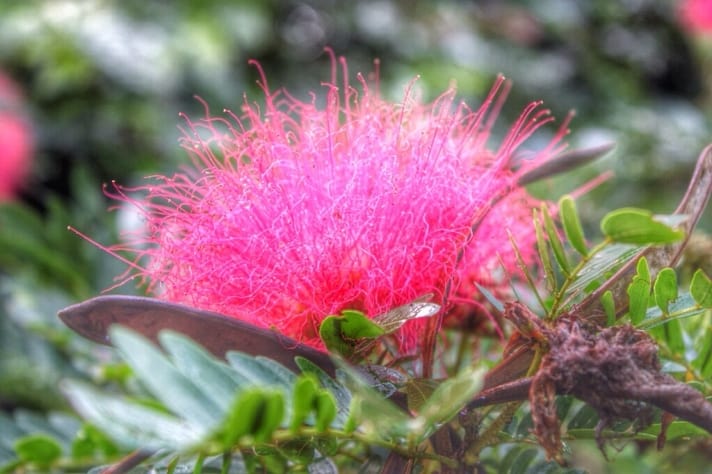 10 Amazing Things To Do In Bohol, The Philippines - Adventurous Miriam