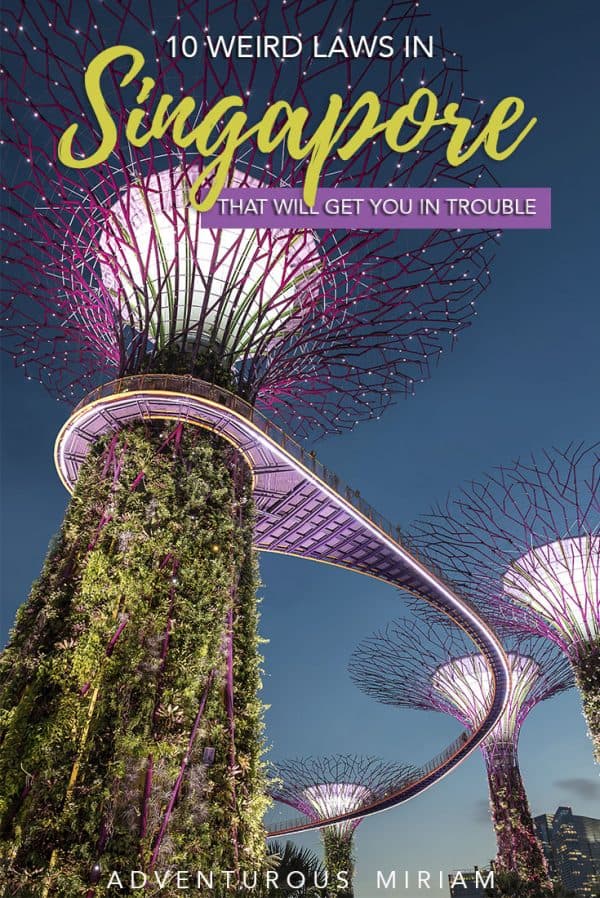21 weird laws in Singapore that could get you in trouble - Adventurous ...