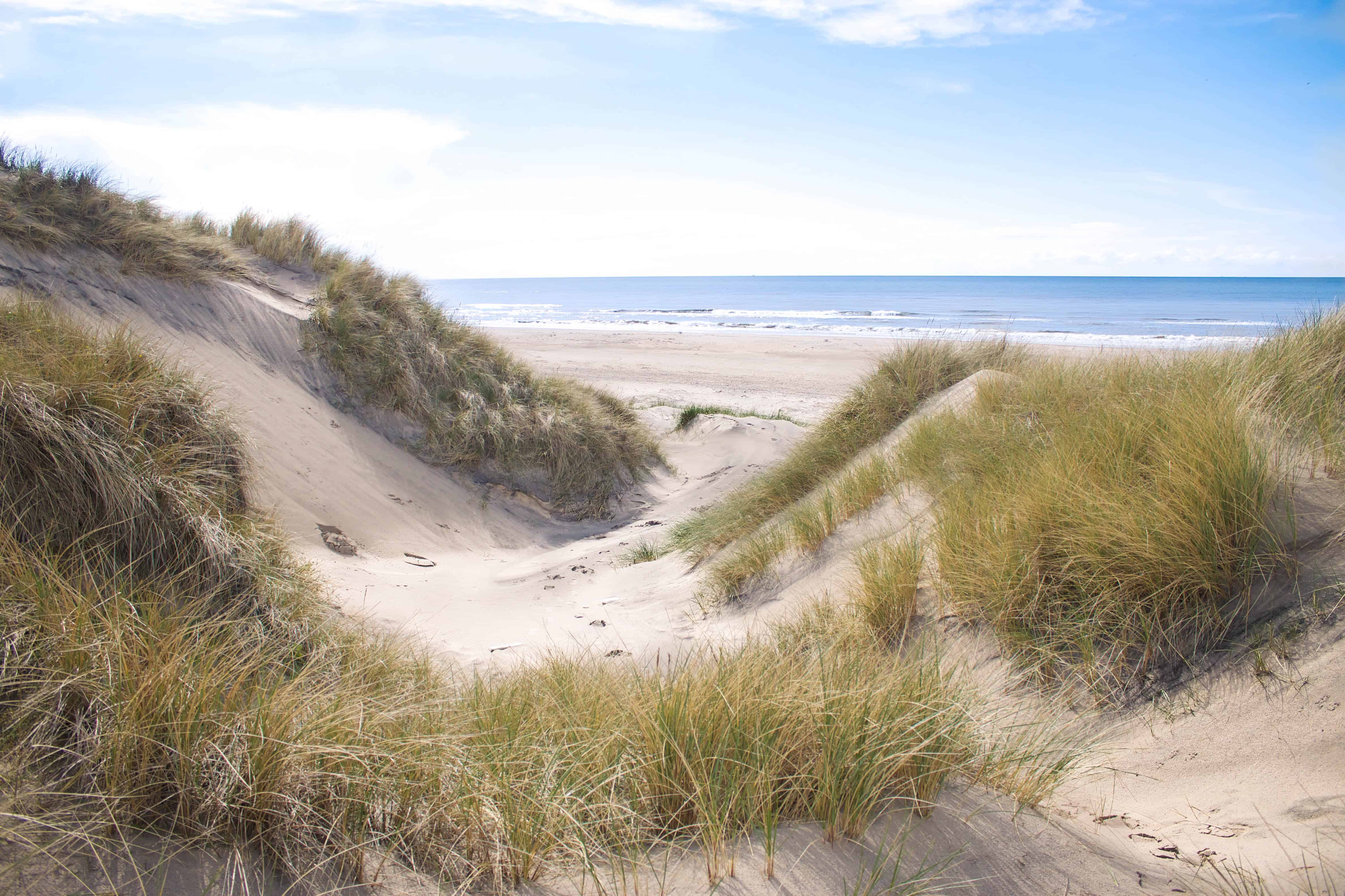 23 fun things to do during summer in Denmark - Adventurous Miriam