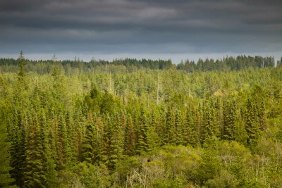 35 absolute BEST things to do in Denmark (by a Dane) - Adventurous Miriam