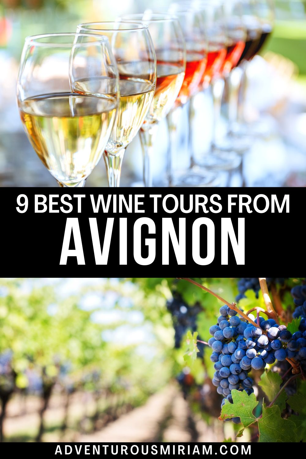9 amazing Avignon wine tours to try - Adventurous Miriam