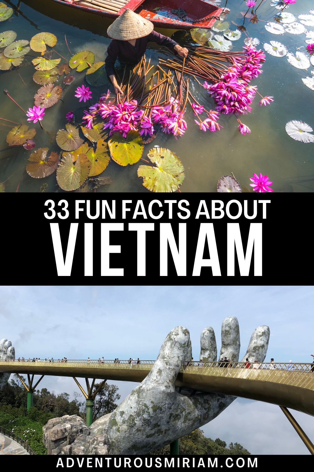 33 interesting facts about Vietnam you probably didn't know ...