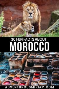 30 cool fun facts about Morocco for kids and travelers - Adventurous Miriam