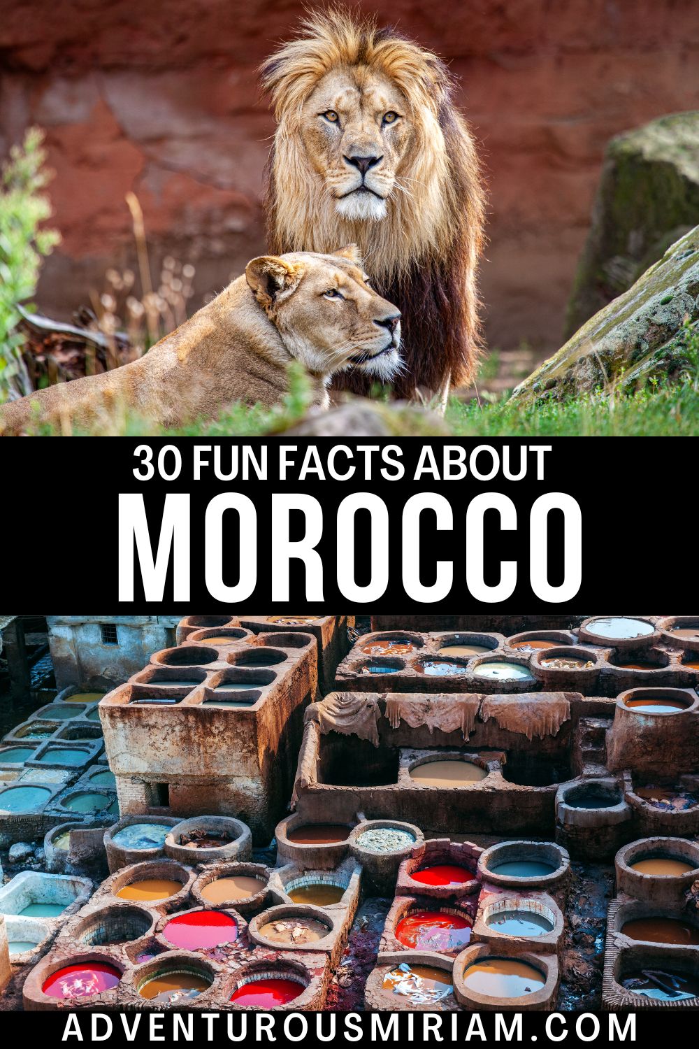 30 cool fun facts about Morocco for kids and travelers - Adventurous Miriam